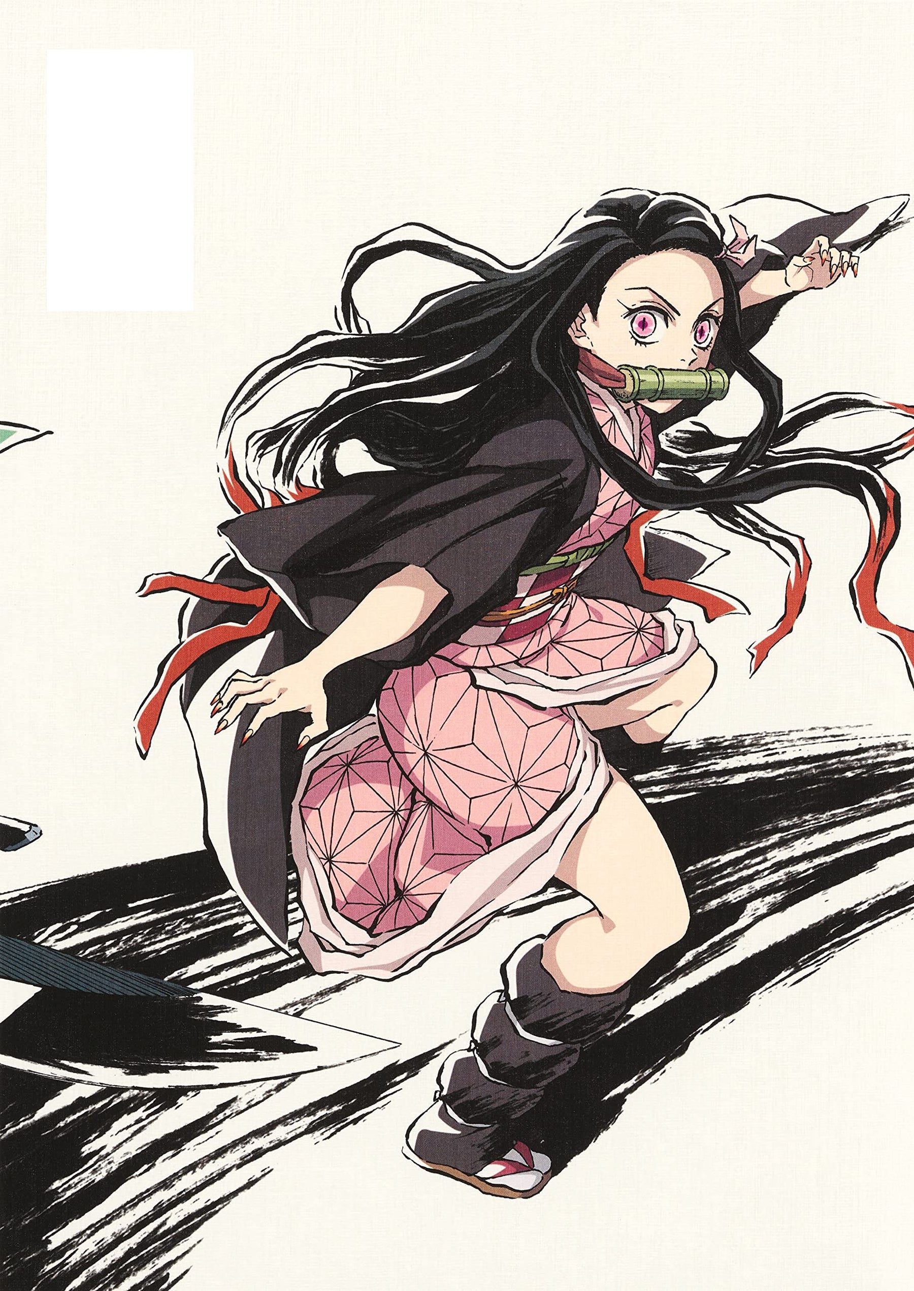 DEMON SLAYER - KIMETSU NO YAIBA ANIME ILLUSTRATION RECORD COLLECTION V ...