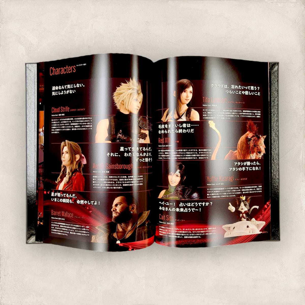 FINAL FANTASY VII REBIRTH Orchestra World Tour Official Pamphlet ...