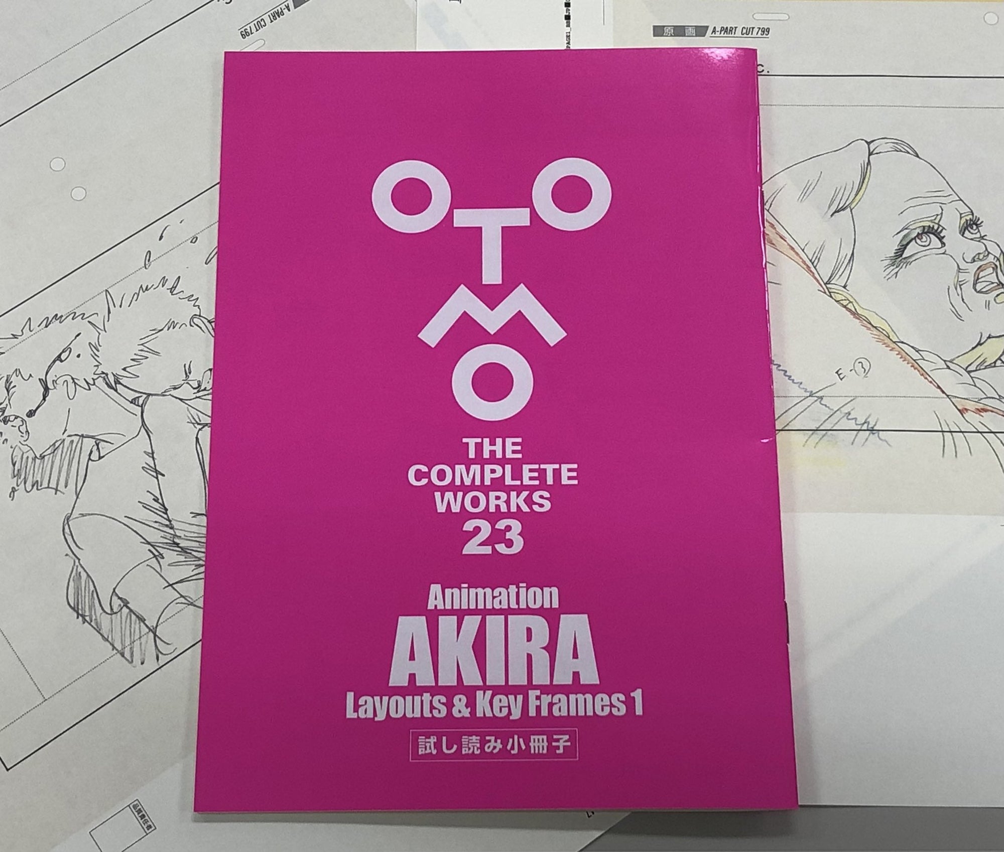 Artbook - Animation AKIRA Layouts & Key Frames Vol.1 (OTOMO THE COMPLE ...